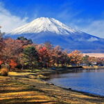 Mount Fuji and Oshino Hakkai Sightseeing Day Tour From Tokyo - Transportation & Group Dynamics