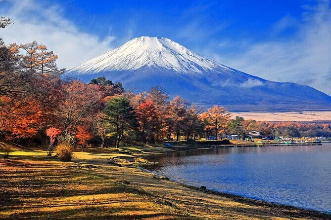 Mount Fuji and Oshino Hakkai Sightseeing Day Tour From Tokyo - Transportation & Group Dynamics