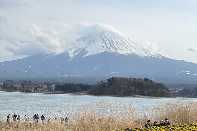 Mount Fuji Customizable one day Private Guided Tour from Tokyo - In The Sum Up: Who Is This Tour Best For?