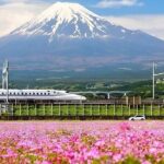 Mount Fuji Day Tour with Matcha Experience, and Arakurayama Park - The Practicalities: What Travelers Should Know