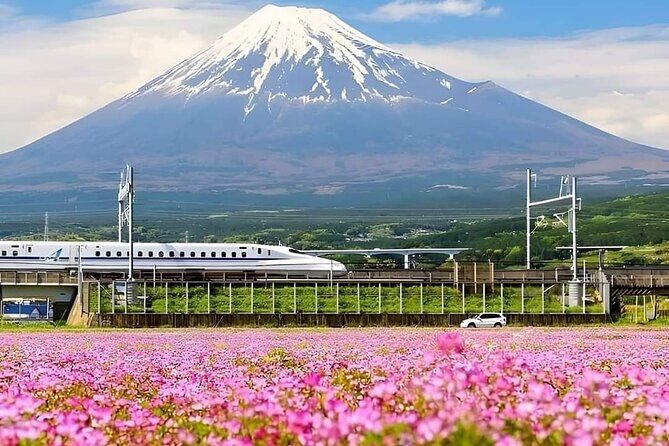 Mount Fuji Day Tour with Matcha Experience, and Arakurayama Park - The Practicalities: What Travelers Should Know