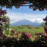 Mount Fuji Day Trip Around Lake Kawaguchiko - Transport & Logistics: What It Means for You