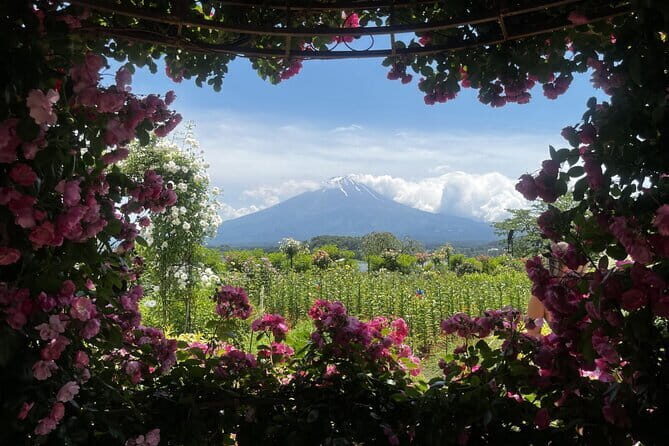 Mount Fuji Day Trip Around Lake Kawaguchiko - Transport & Logistics: What It Means for You