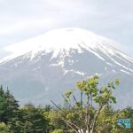 Mount Fuji Escape: A Private Tour - What’s Included and What’s Not