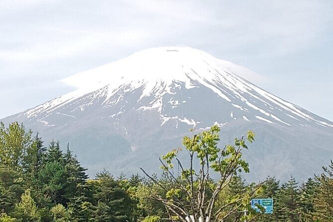 Mount Fuji Escape: A Private Tour - What’s Included and What’s Not