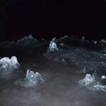 Mount Fuji Five Lakes Tour from Tokyo with Guide & Vehicle - Who Should Consider This Tour?