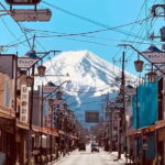 Mount Fuji Flower Viewing Limited Gotemba Outlet Tour - Who Should Consider This Tour?
