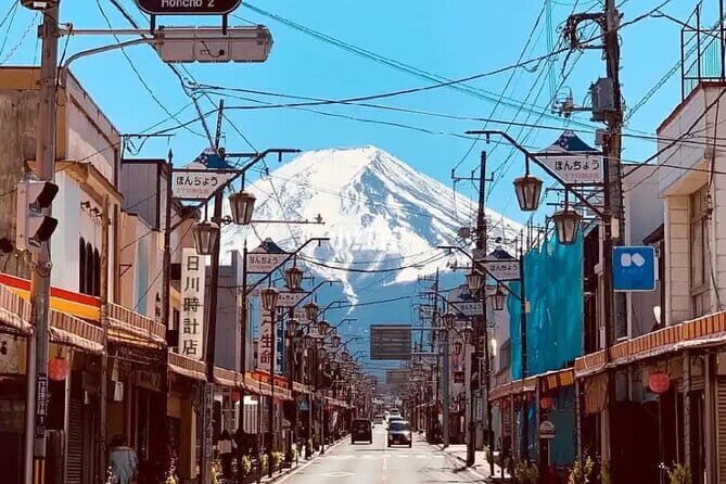 Mount Fuji Flower Viewing Limited Gotemba Outlet Tour - Who Should Consider This Tour?