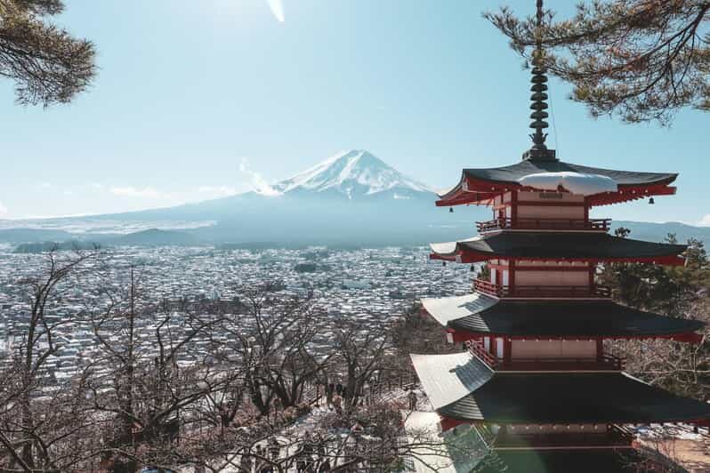 Mount Fuji Full-Day Private Sightseeing Tour with Guide - The Sum Up: Who Will Love This Tour?