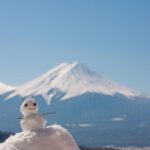 Mount Fuji Full-Day Private Tour from Tokyo (Customizable) - Value and Practicalities: Is It Worth It?