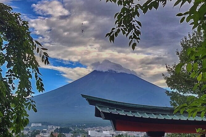 Mount Fuji Full Day Private Tour with English Speaking Driver - What Makes This Tour Stand Out?