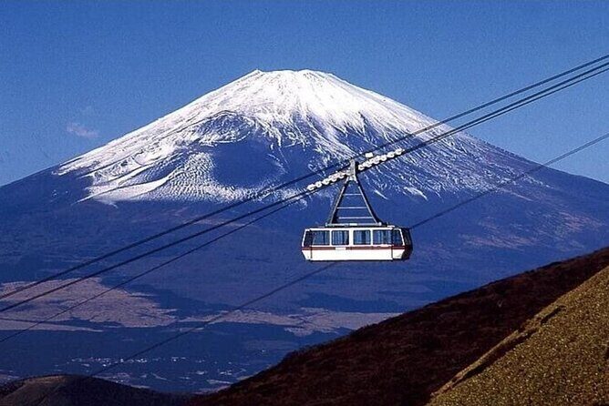 Mount Fuji full day private trip with English speaking driver - What the Reviews Say