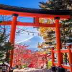 Mount Fuji Full Day Sightseeing Tour from Tokyo - Practicalities & What to Expect
