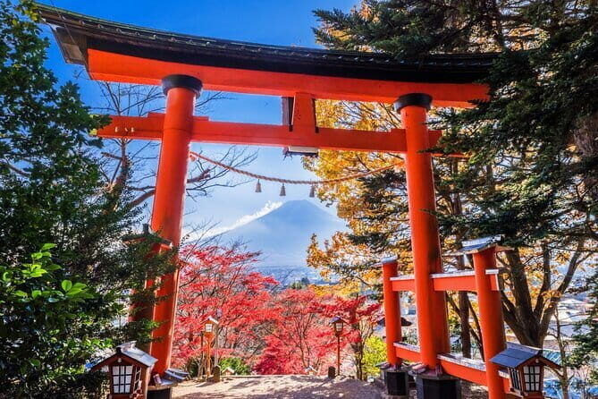 Mount Fuji Full Day Sightseeing Tour from Tokyo - Practicalities & What to Expect