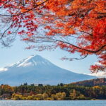 Mount Fuji Full Day Tour form Tokyo Lake Kawaguchi & Yamanaka - The Experience in Detail