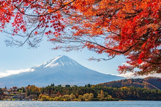 Mount Fuji Full Day Tour form Tokyo Lake Kawaguchi & Yamanaka - The Experience in Detail