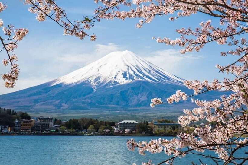 Mount Fuji: Private Full day Tour (Customizable) Eng driver - An Overview of What to Expect
