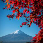 Mount Fuji Private Full Day Tour from Tokyo by Car or Van - In-Depth Look at the Itinerary