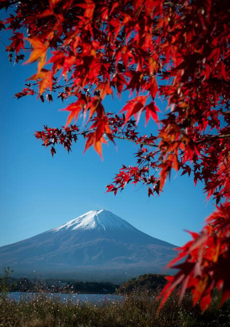 Mount Fuji Private Full Day Tour from Tokyo by Car or Van - In-Depth Look at the Itinerary