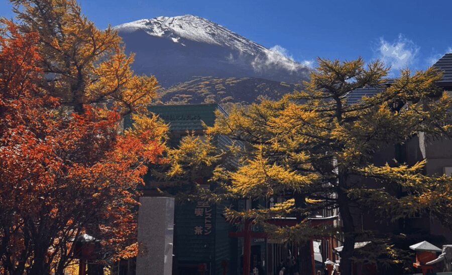 Mount Fuji Sightseeing tour with English speaking guide - Dive Into the Itinerary – What You’ll See and Do