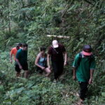 Mount Merapi: A Serene Soft Trek Through Botanic Villages Tour - Transportation, Timing, and Group Size