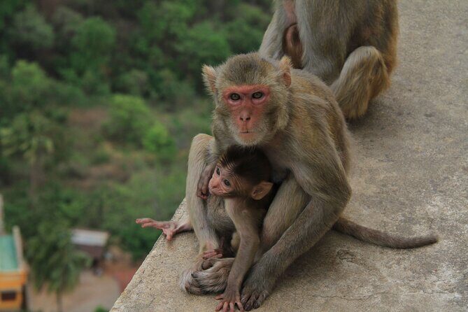 Mount Popa Tour - The Itinerary in Detail