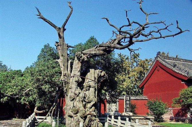 Mount Tai Private Day Tour from Jinan with Lunch and Cable Car Ride - The Value of the Tour: What It Means for You