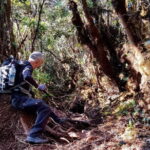 Mount Trusmadi Climb - 3 Days - Day 2: Trekking to Camp 2