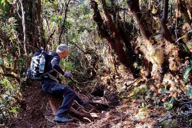 Mount Trusmadi Climb - 3 Days - Day 2: Trekking to Camp 2