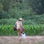 Mountain Bike Riding from Hoi An - Practical Details and Tips