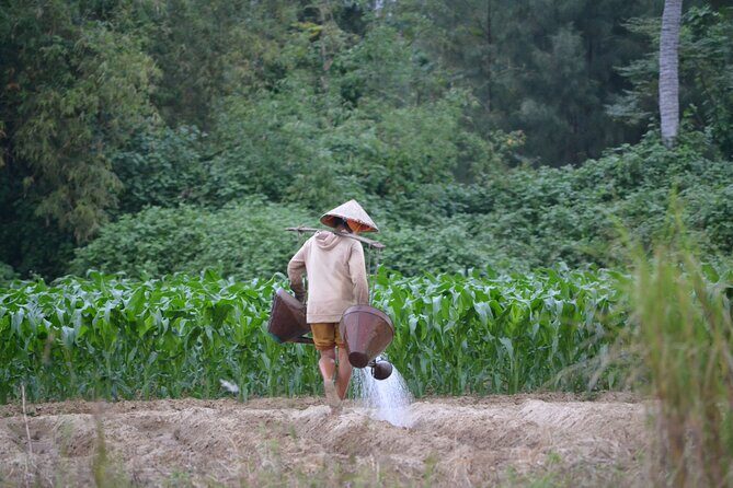 Mountain Bike Riding from Hoi An - Practical Details and Tips