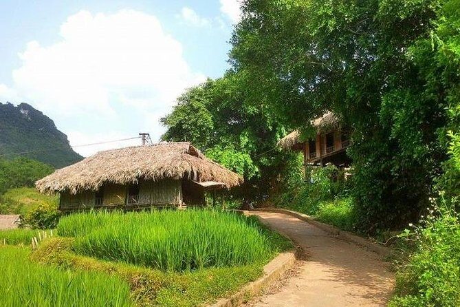 Mountain Day Trip to Experience Muong Culture from Hanoi - Analyzing Value Against Cost