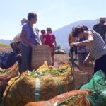 Mountain Hiking in Munnar (half day) By Munnar Info - A Closer Look at the Experience