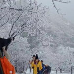Mountain Lake Hiking -1-Day Scenic Trailwalking in Anhui Province - Analyzing the Value