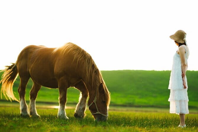 Mt. Aso and Takachiho Gorge 1 Day Highlights Tour From Kumamoto - Practical Details: What to Expect and Why It Matters