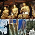 Mt Emei 1 day tour - Is It Worth the Price?