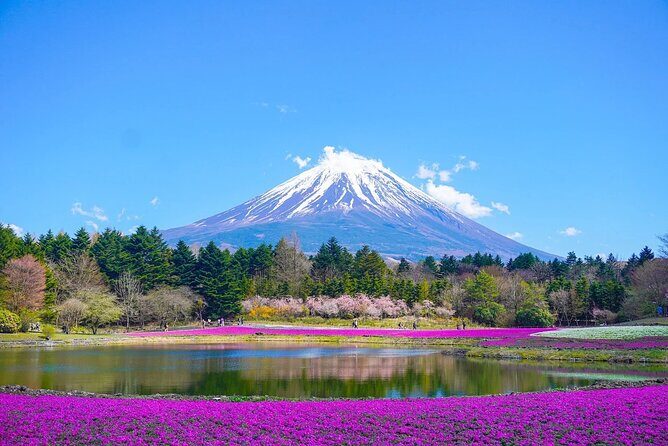 "Mt. Fuji 1-Day Private Tour with English Speaking Driver-Guide" - Visiting Mt. Fuji 5th Station
