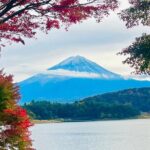 Mt. FUji and Cherry Blossom Day Trip with English Speaking Driver - An In-Depth Look at the Experience