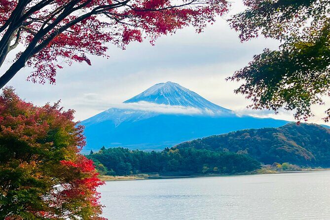 Mt. FUji and Cherry Blossom Day Trip with English Speaking Driver - An In-Depth Look at the Experience