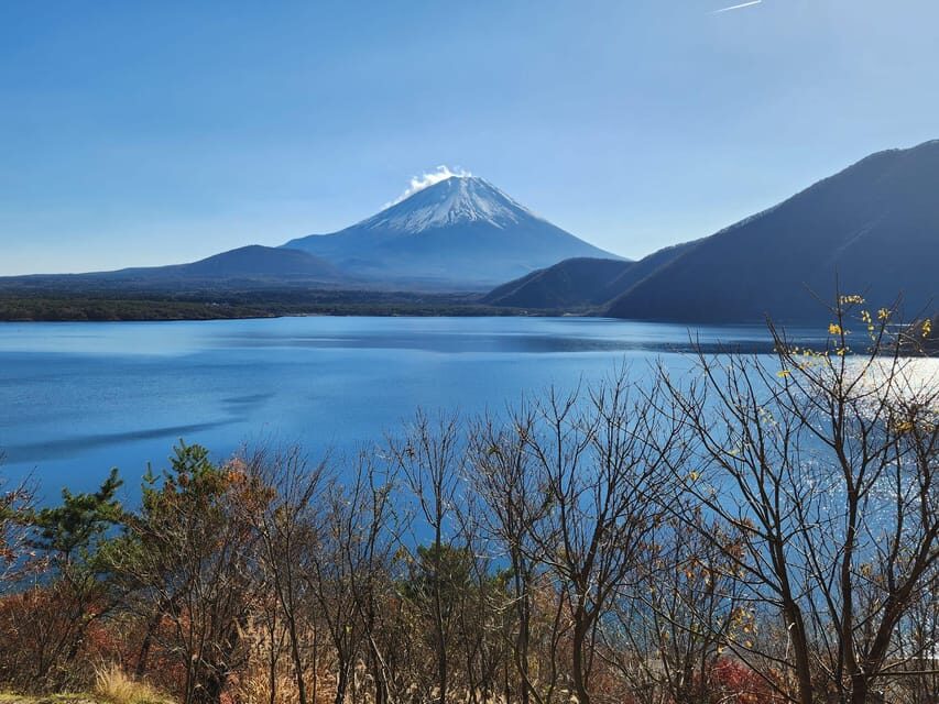 Mt Fuji and Hakone Private Tour With English Speaking Driver - Who This Tour Is Best For
