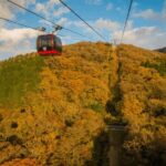 Mt.Fuji and Hakone Tour - Who This Tour Is Best For