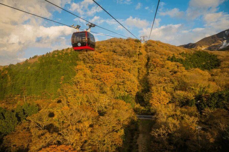 Mt.Fuji and Hakone Tour - Who This Tour Is Best For