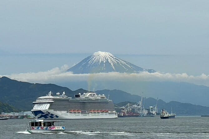 Mt.Fuji area Tour from Shimizu Port /Small Bus - Why This Tour Offers Great Value