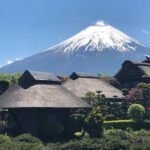 Mt.Fuji Full-Day Private Tour By Public Transportation - The Practical Side: What’s Included and Excluded
