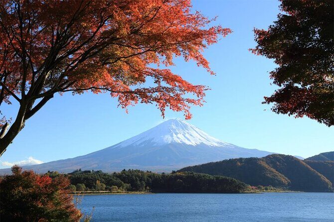 Mt Fuji & Hakone Cruise, Drum Show Bus 1 Day from Tokyo Sta. Area - The Detailed Itinerary Breakdown