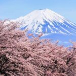 Mt. Fuji, Hakone Full-Day Private Tour with English Driver - Stop 3: Chureito Pagoda