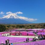 Mt. Fuji, Hakone Full-Day Private Tour with English Driver Guide - Experience Quality and Practical Details