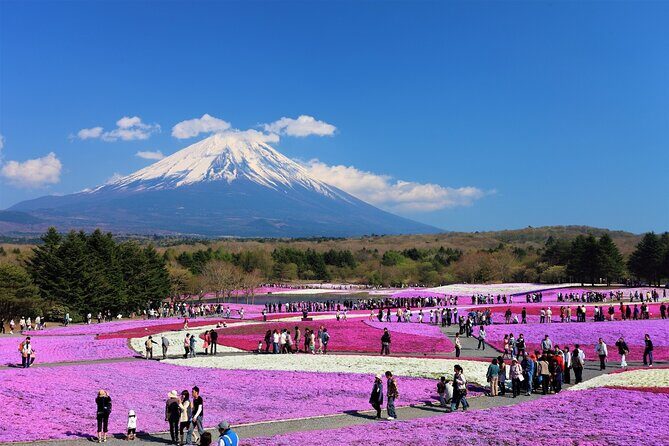 Mt. Fuji, Hakone Full-Day Private Tour with English Driver Guide - Experience Quality and Practical Details
