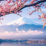 Mt. Fuji & Hakone Fully customizable Day Tour With English Driver - Observations from Travelers and Practical Tips