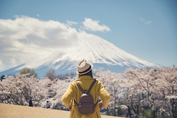 Mt Fuji & Hakone Private Day Tour w/ English Speaking Driver - Who Will Love This Tour?